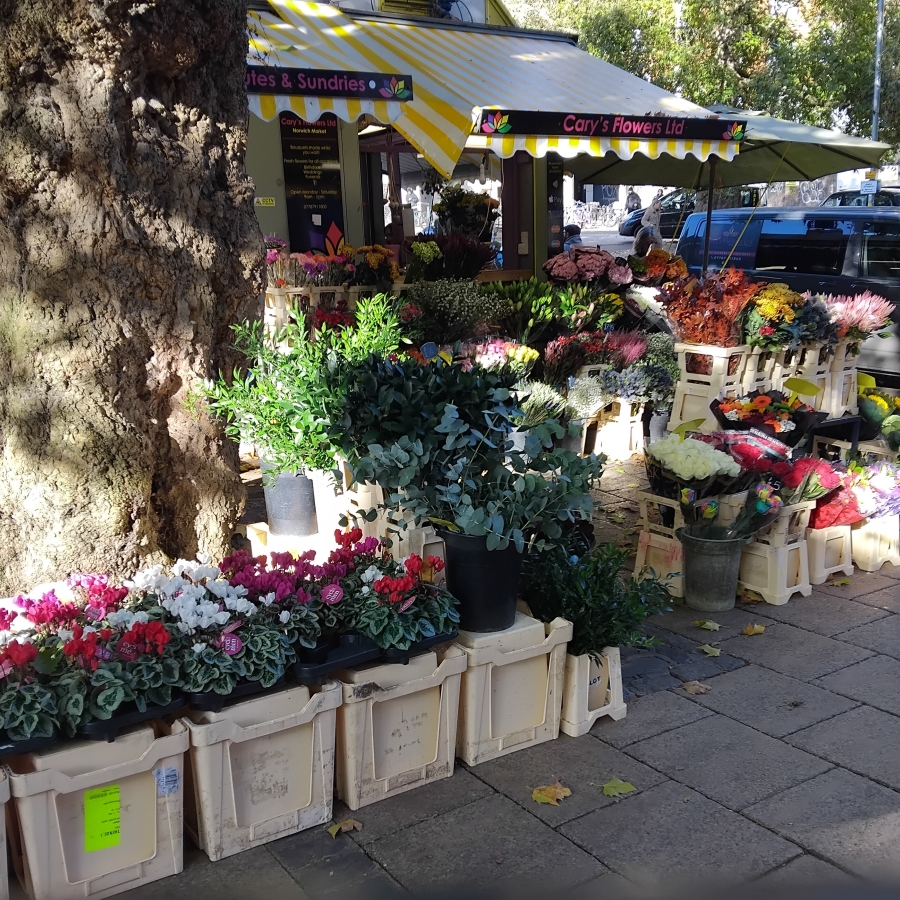 Cary's Flowers | Norwich City Council