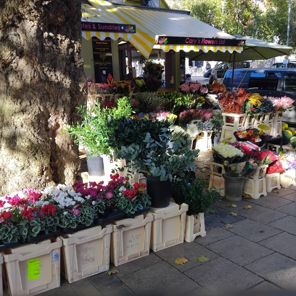 Cary's Flowers | Norwich City Council